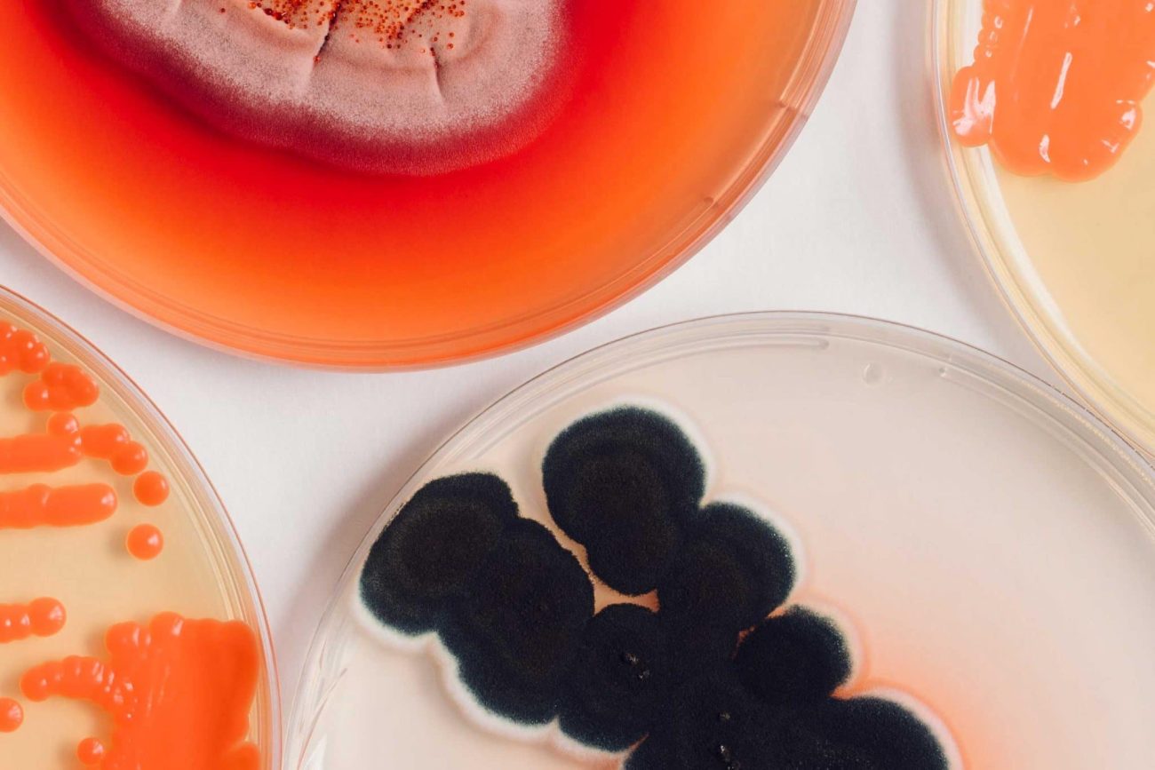 SmartBio - smart solutions in biotechnology - HAMK