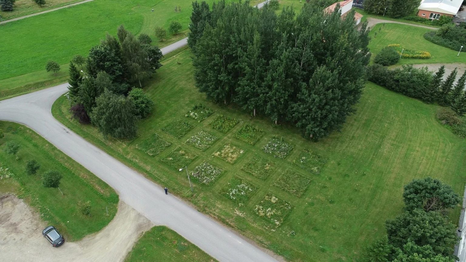 Lawn Biodiversity - HAMK