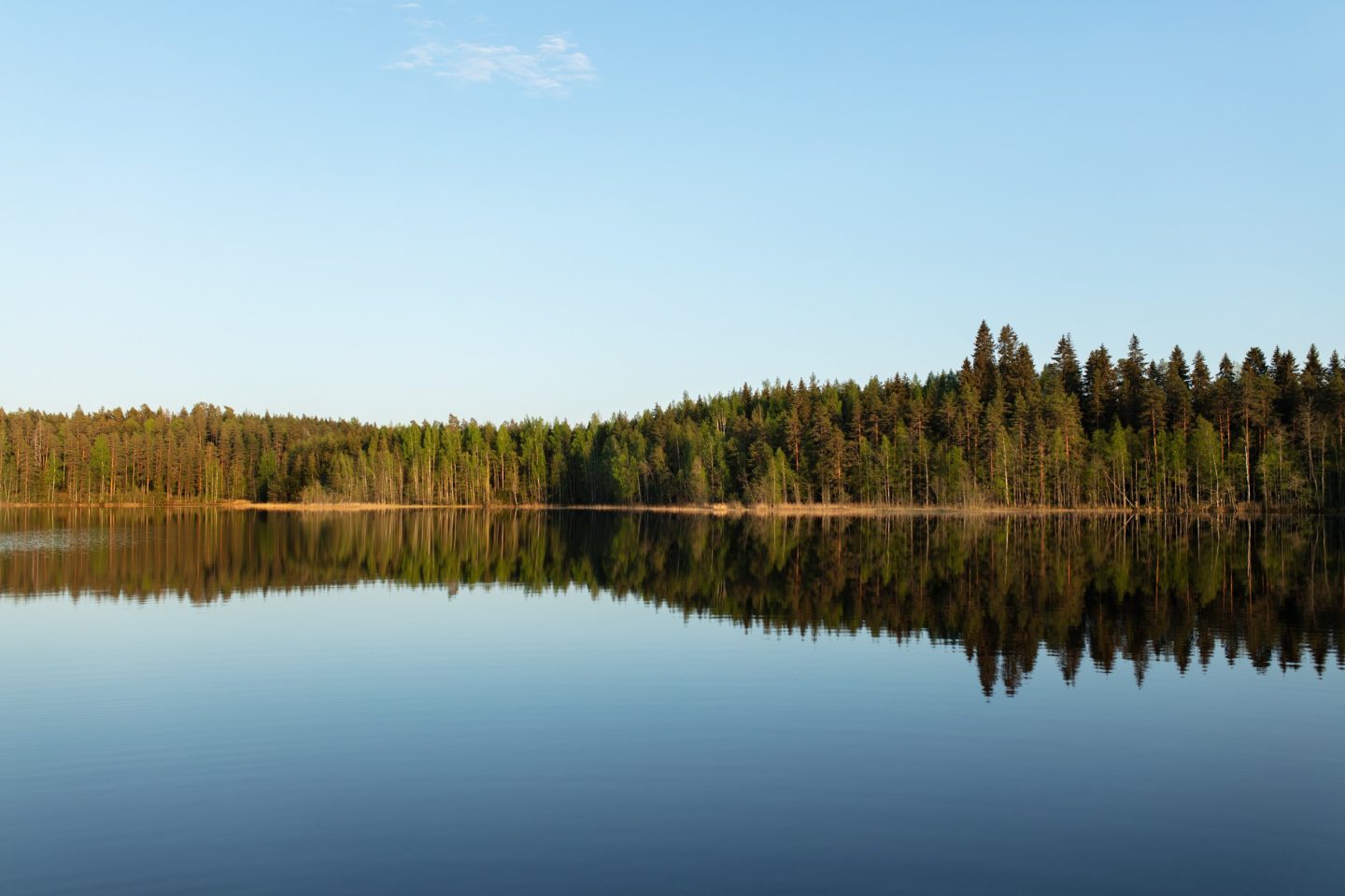 School of Biotechnology and Natural Resources Archives - Page 4 of 4 - HAMK