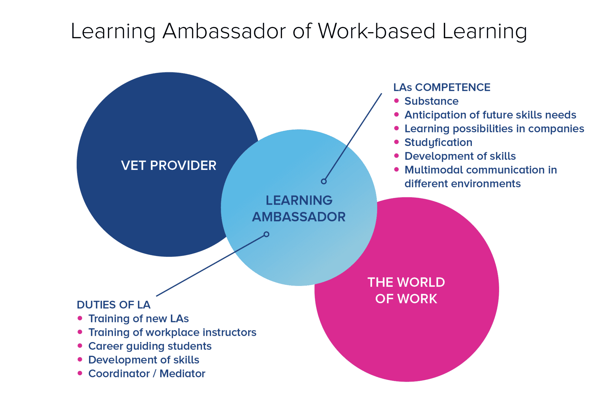 From Vocational Teacher to Learning Ambassador - HAMK