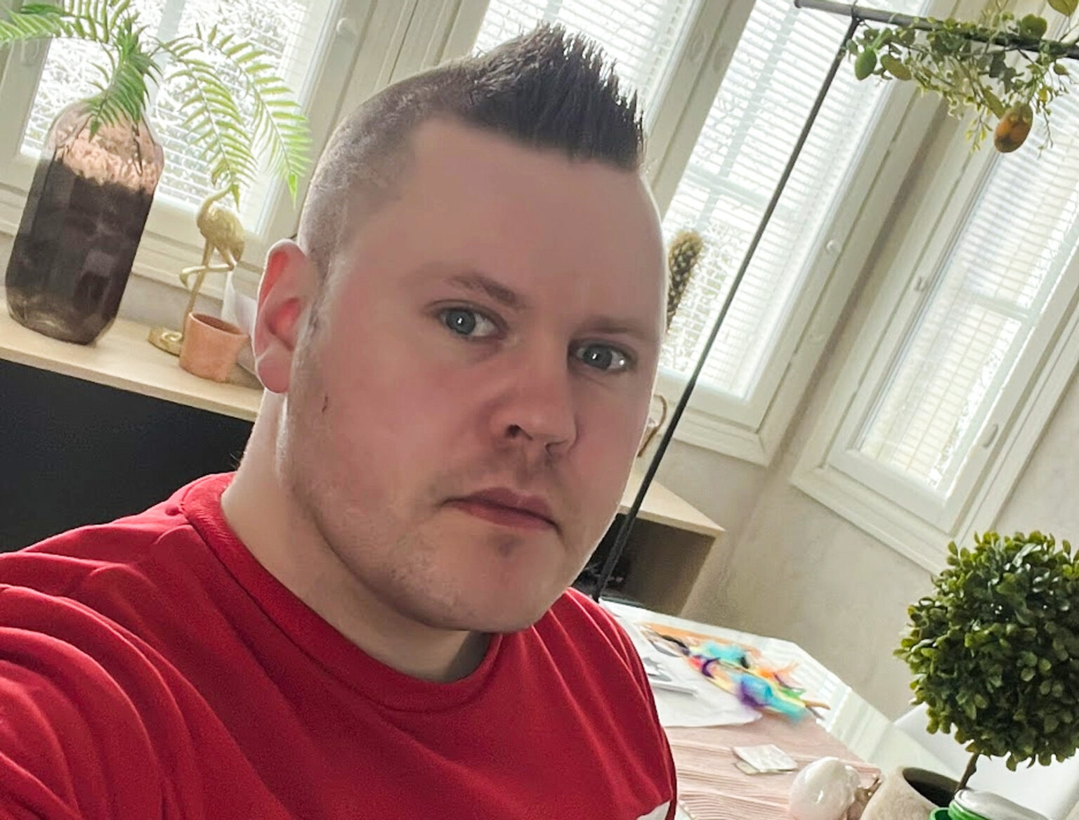 Liiketalous, muuntokoulutus - HAMK