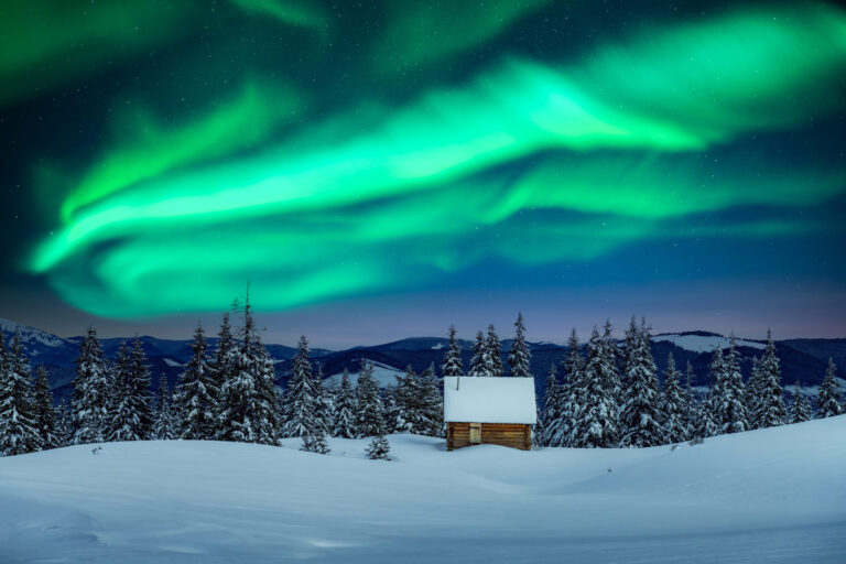 Studying in Finland - HAMK