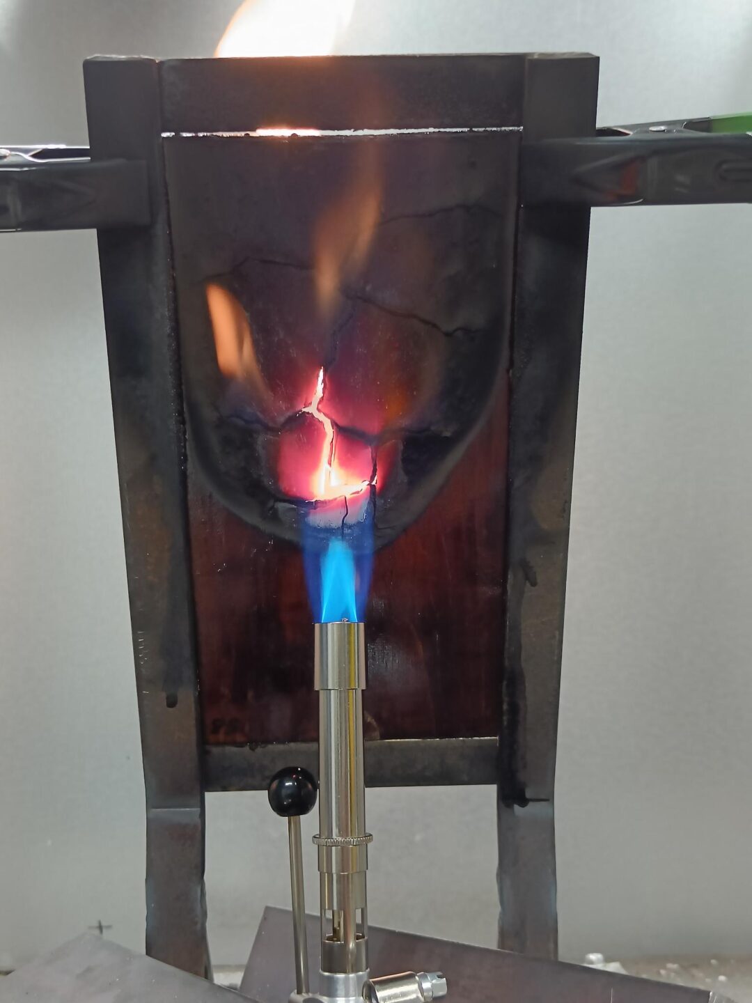 Tulevaisuuden tähtenä ligniini - HAMK